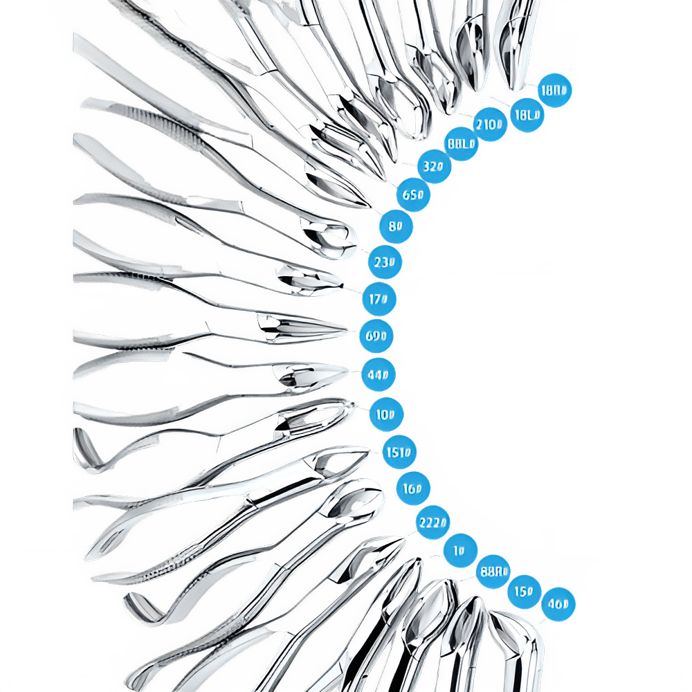 Surgical Extraction Forceps – Easy Grip Serrated Jaw | Apex Dental ...